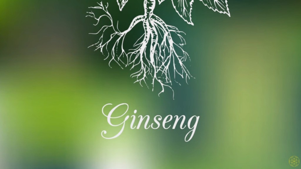 Everyday Magical Things ~ Ginseng – Spirit Science