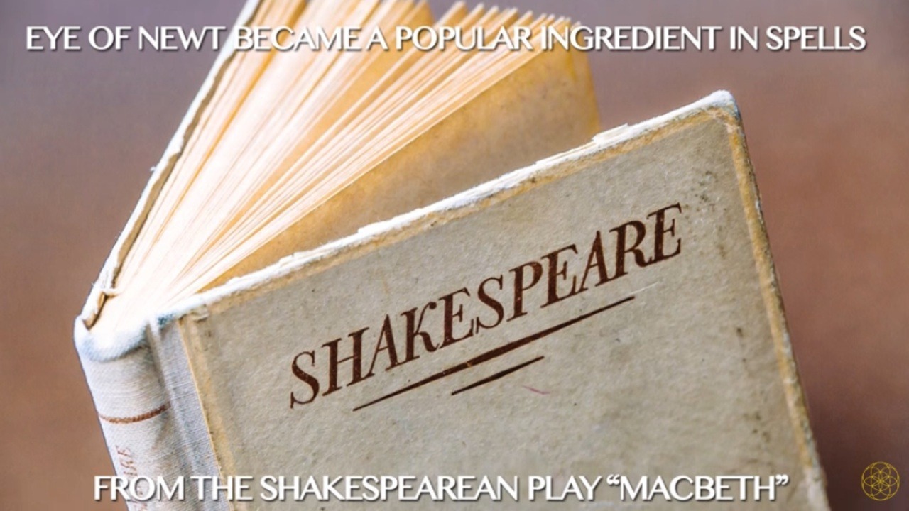 Everyday Magical Things ~ Eye of Newt (Toe of Frog, etc) – Spirit Science