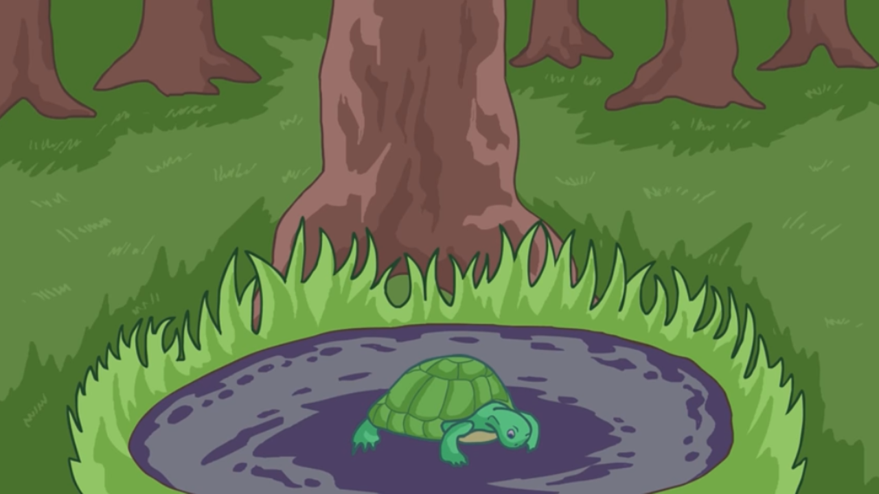Patch Parables 12 ~ The Parable of the Sacred Turtle – Spirit Science