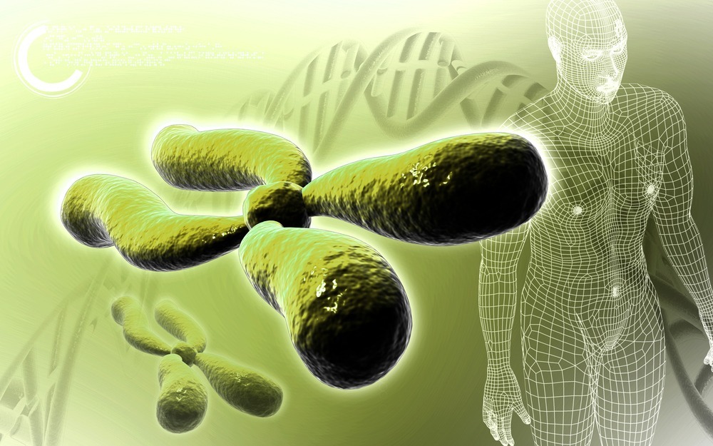 The Human Y Chromosome, Which Determines Male Sex, Is Slowly ...